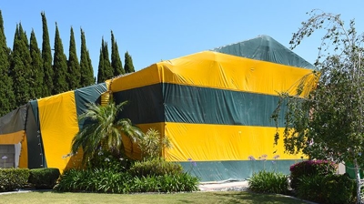 Premium Pest Control Anaheim, CA | A-1 Bonded Termite